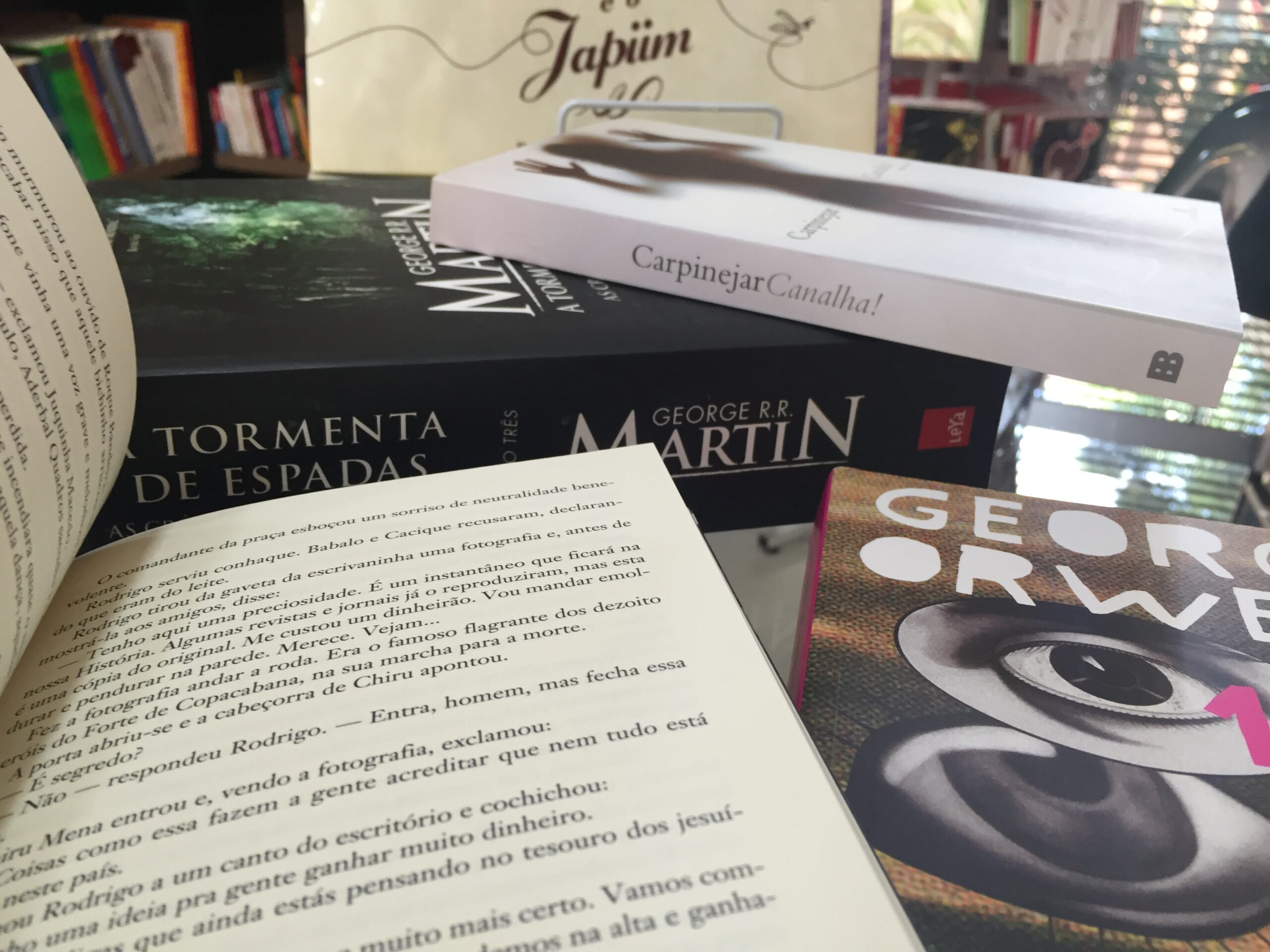 Cheque Livro tem mais de 1.700 obras adquiridas - Secretaria de Educação