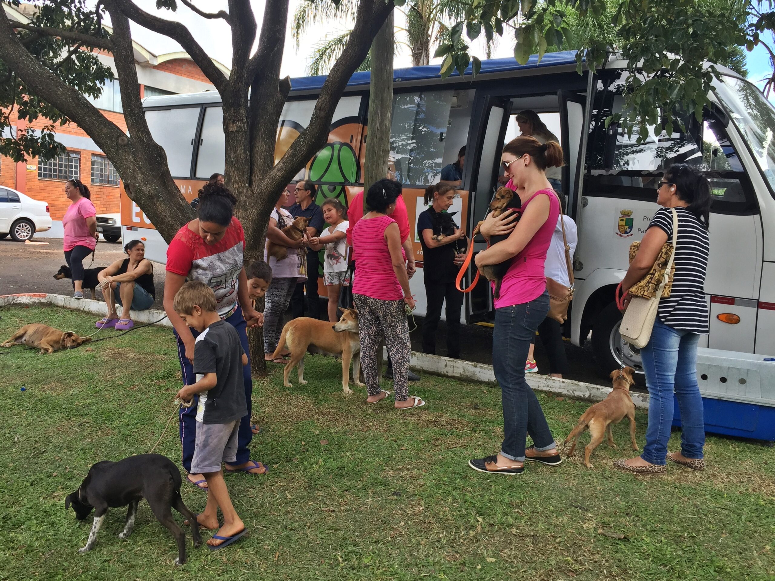Programa atende rede de protetores de animais - Secretaria de Meio Ambiente