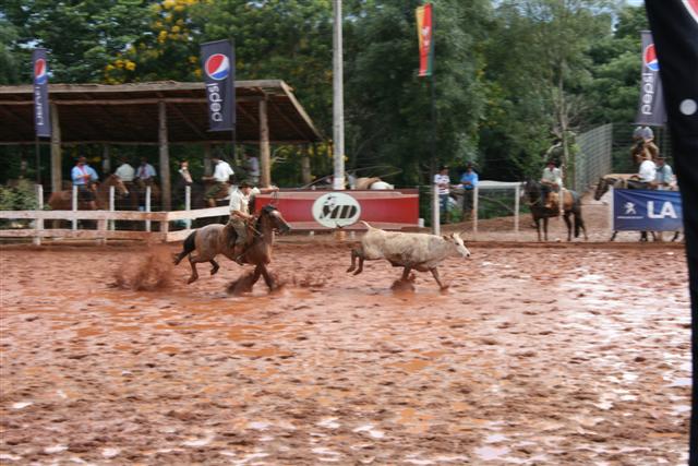 Competidores iniciaram a disputa pelo grande prêmio do rodeio - Turismo