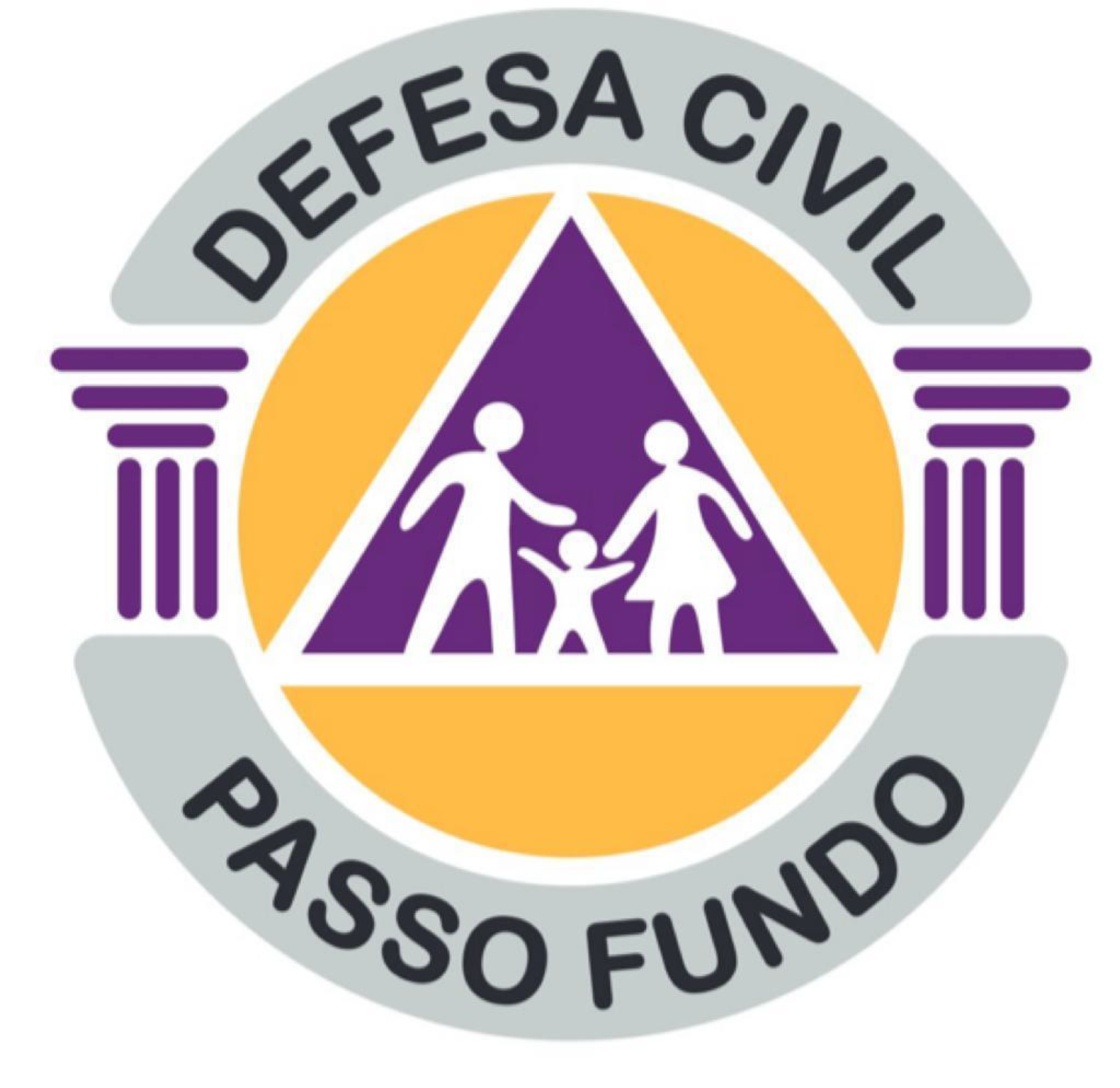 Consulta Pública Defesa Civil de Passo Fundo - Prefeitura de Passo Fundo